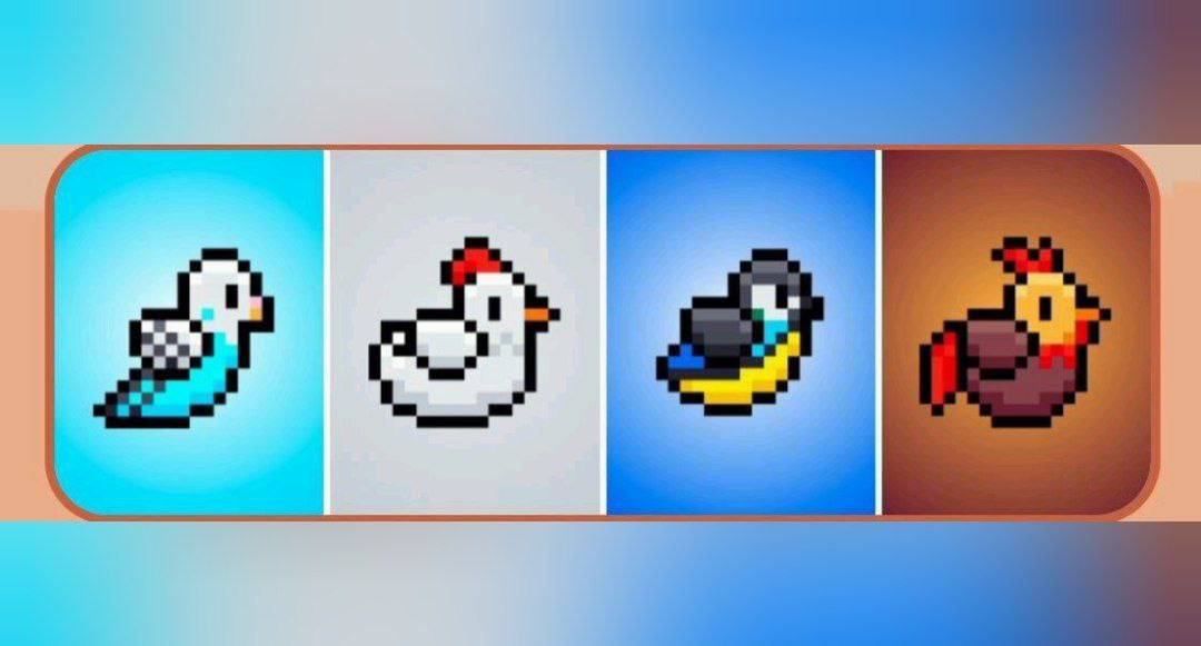 BIRD TON Daily Combo December 10 | Controverity